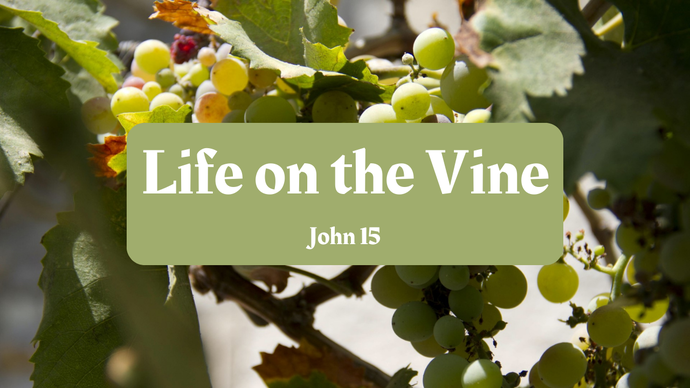 Sermons | Living Vine Community Church